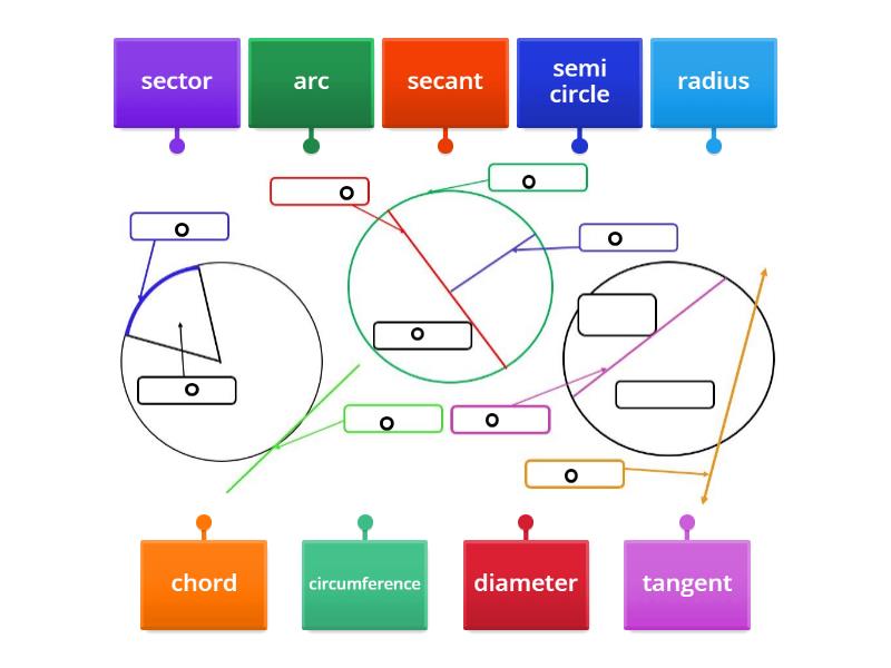 Parts of a Circle - Labelled diagram