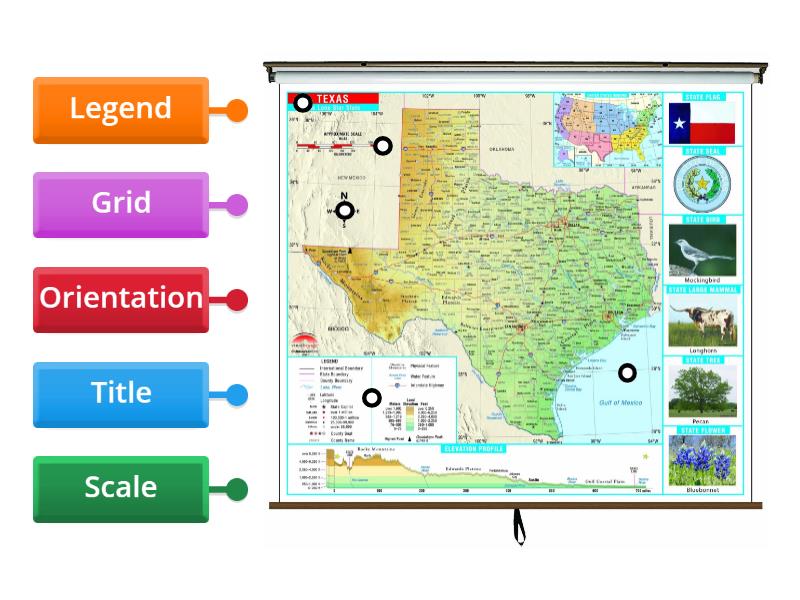Bellringer TODALSIGS - Labelled diagram