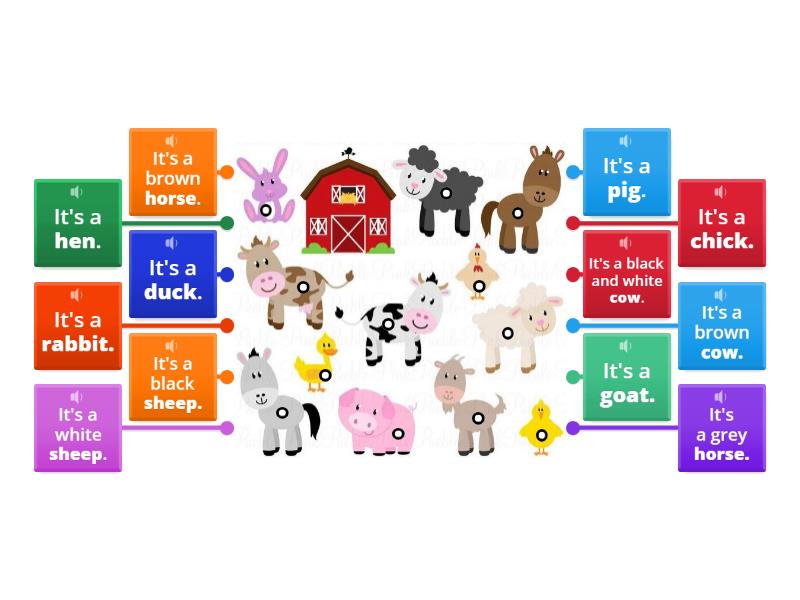 Farm animals - Labelled diagram