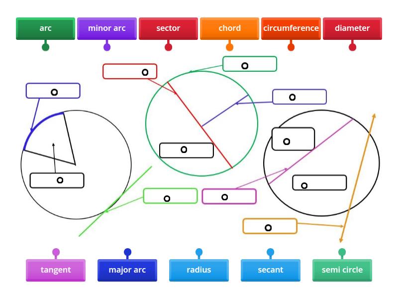 Know the Parts of a Circle 1 - Labelled diagram