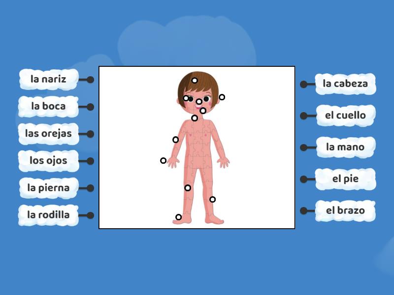 Las partes del cuerpo - Labelled diagram