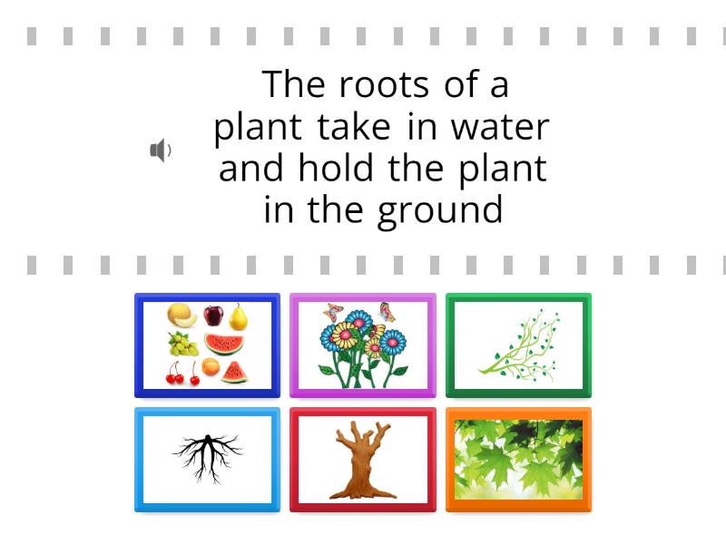 Part of a tree - Find the match