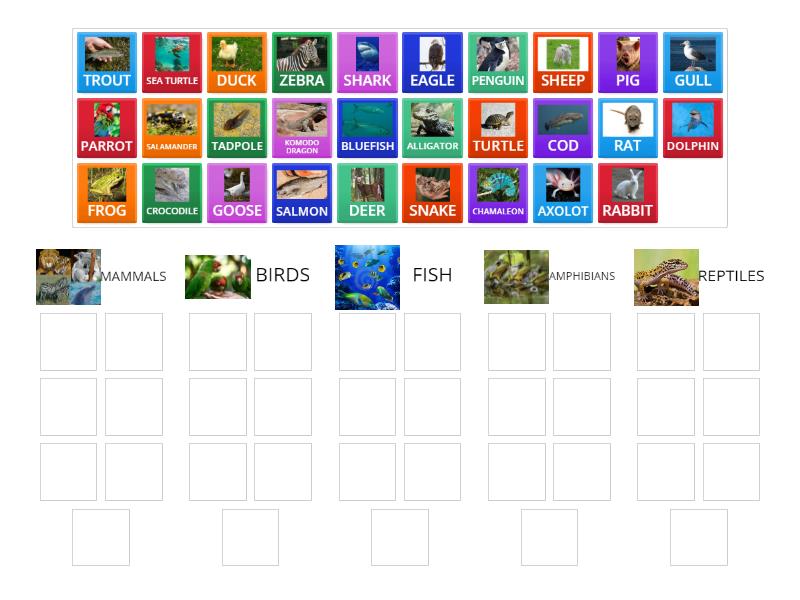 Clasificación de animales - Group sort