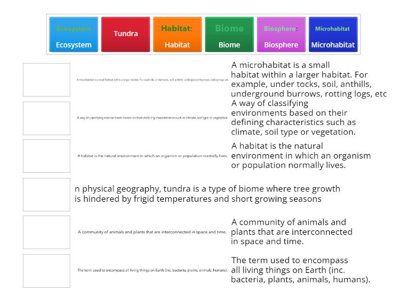 Biomes - Week 1 - Match up