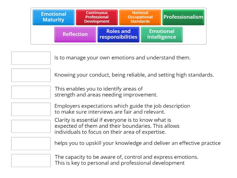 Professional Dvelopment - Match up