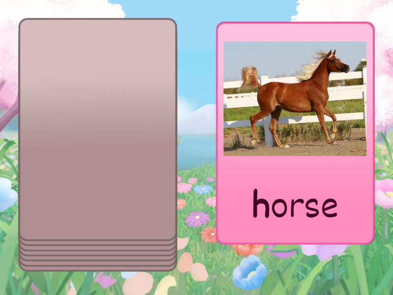 The ABC (part 1, Spotlight 2) - Speaking cards