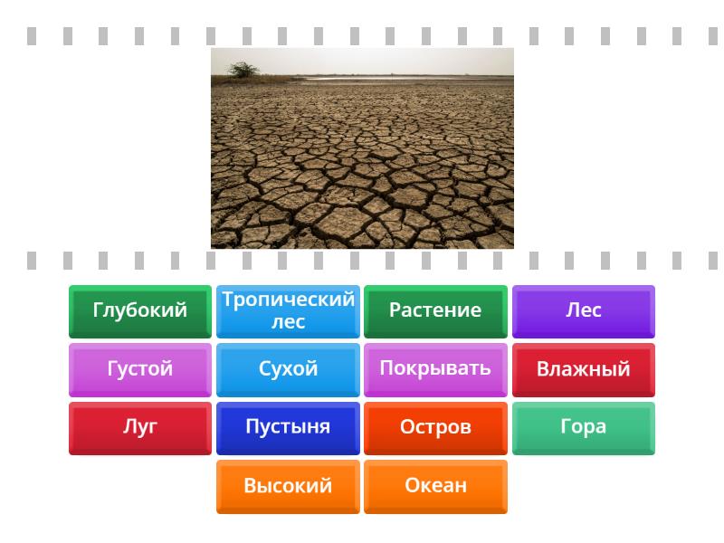 5 класс: Unit 8 Lesson 2 "Hot and cold, dry and wet" - Find the match