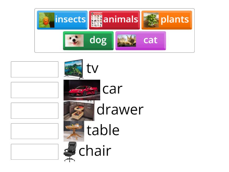living and non living things - Match up