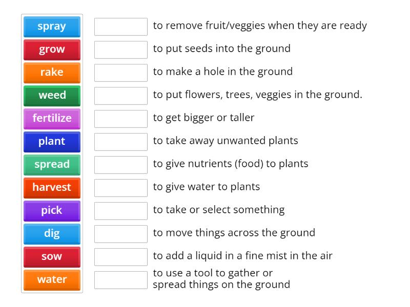 Gardening Verbs - - Match up