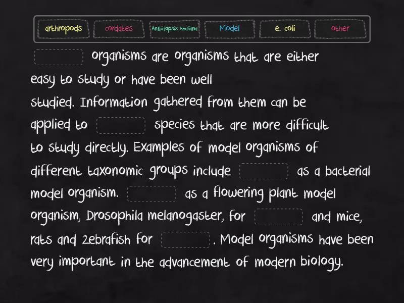 Braes AH Biology Unit 2.1(c) Model Organisms missing word summary ...