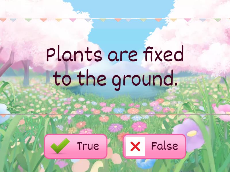 Plants. True or false? - Verdadero o falso