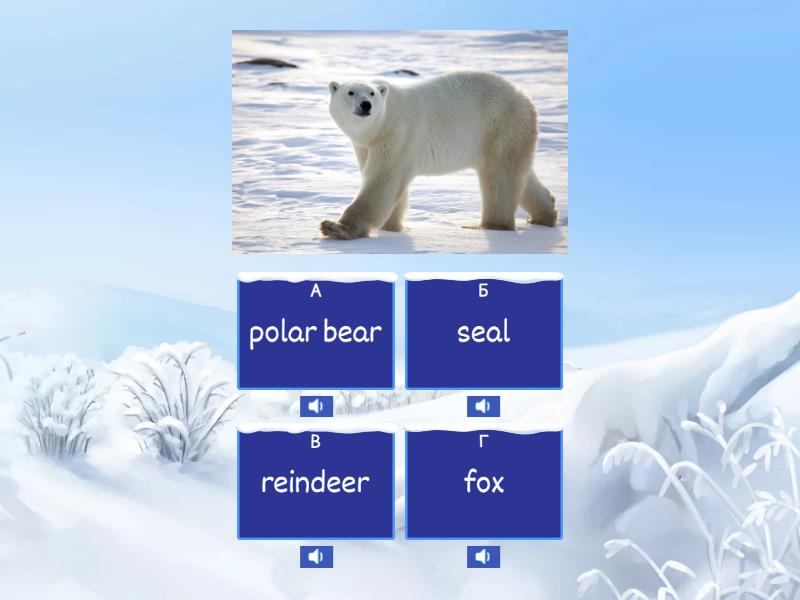 What color the artic fox? Form 2 - Вікторина