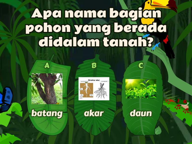 Kuis Pertumbuhan Tanaman PAUD - Quiz