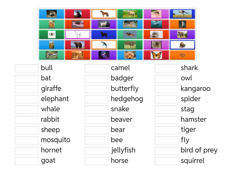 Animals - pre-intermediate - Match up