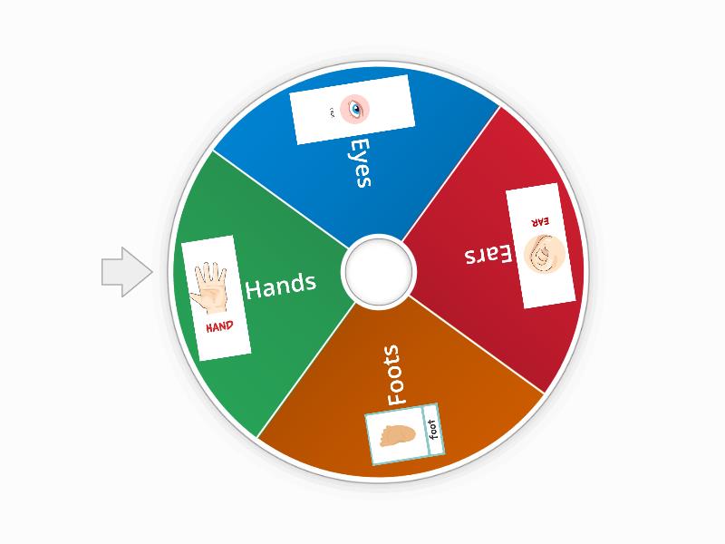 Body parts - Spin the wheel