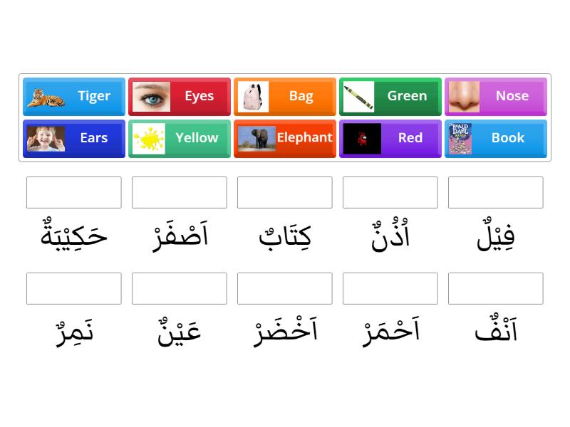 Match to the correct arabic words - Match up