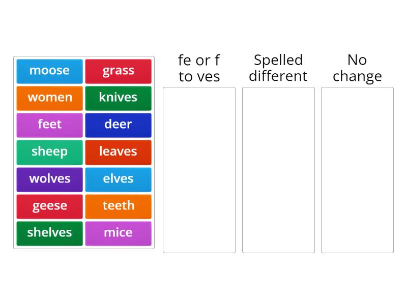 Iregular Plurals Buddy Sort - Group sort