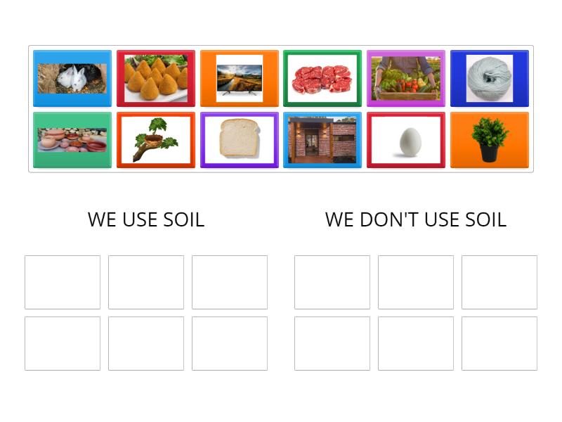 USES OF THE SOIL - Group sort