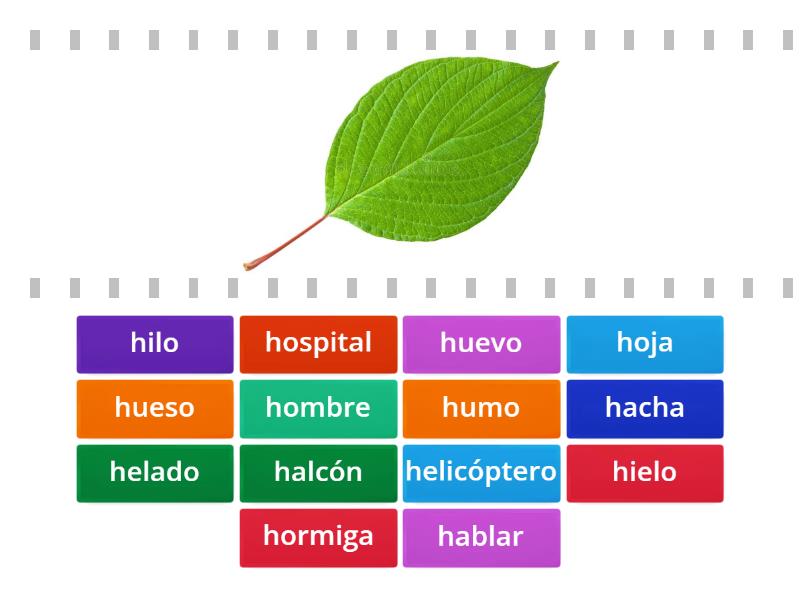 Palabras con la letra "h" - Find the match