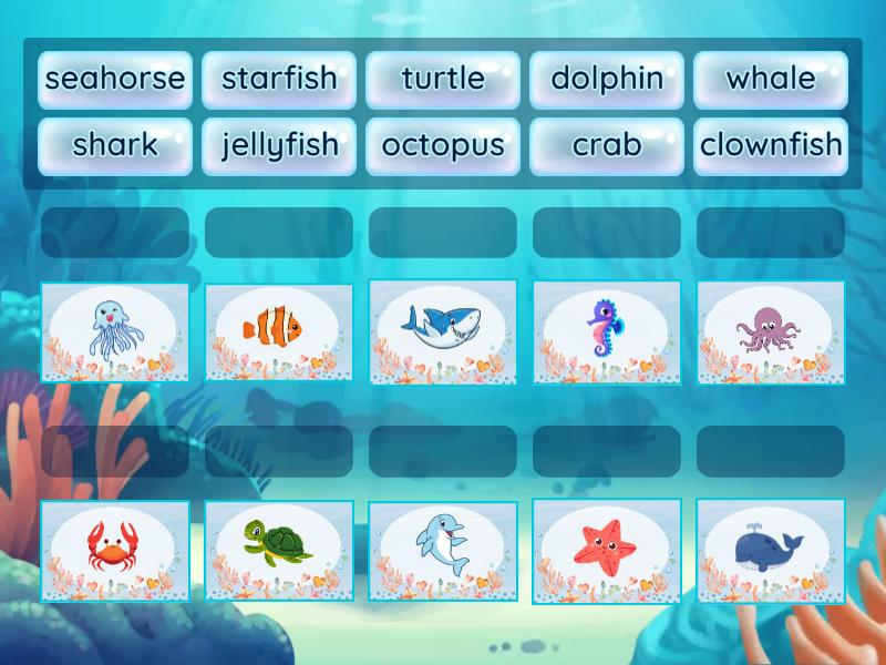Sea creatures - Match up