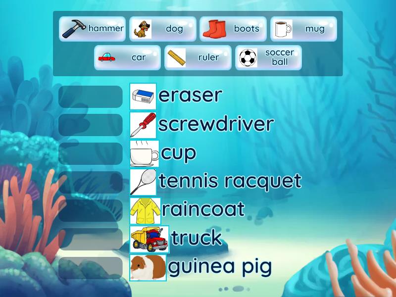 Which go together? Why? - Match up