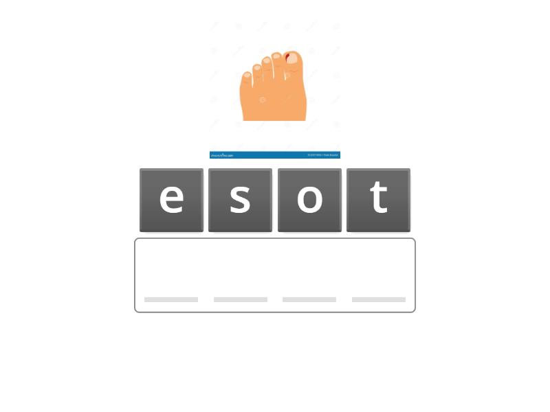 parts of body - Anagram