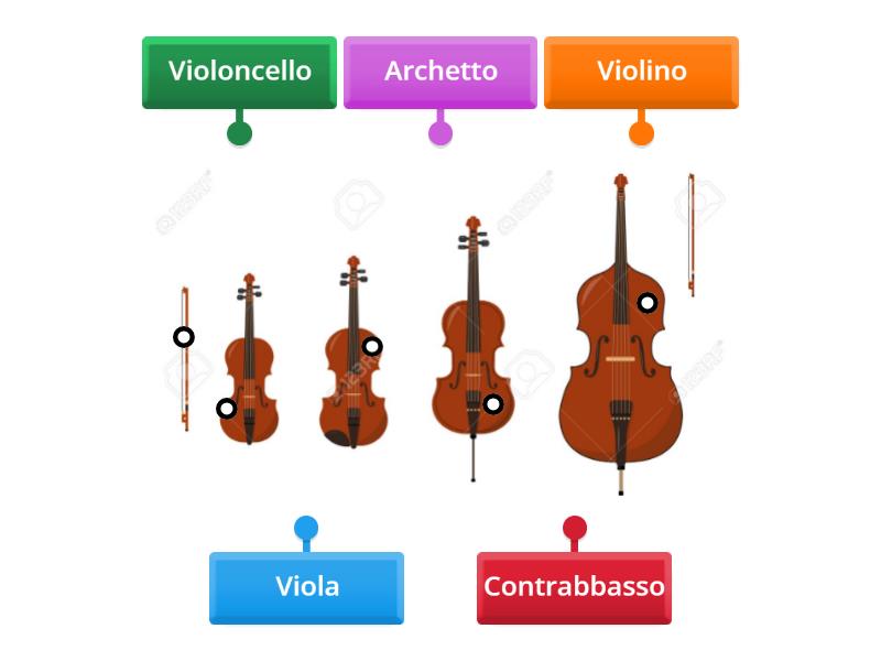 Strumenti ad arco 2 - Labelled diagram