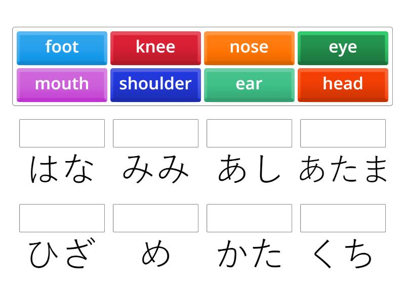Body parts in Japanese 2 (Hiragana version) - Match up