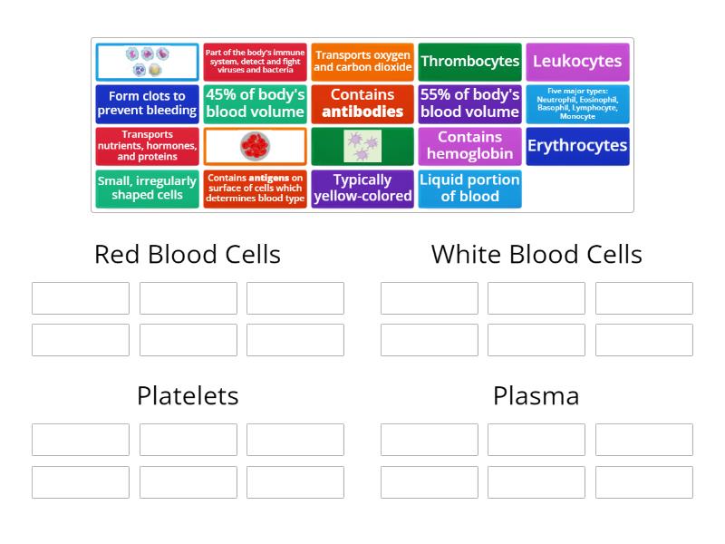 Blood Composition - Group sort