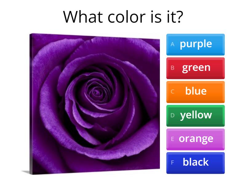 Color beginners - Quiz