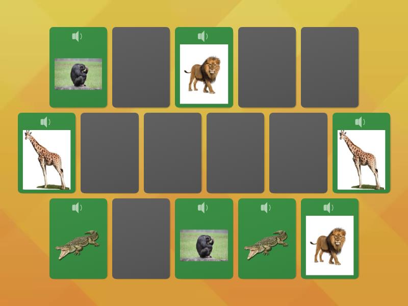 Jungle animals - Matching pairs