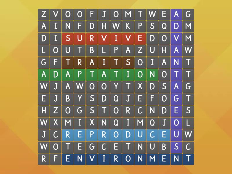 Adaptations Word Search - Wordsearch