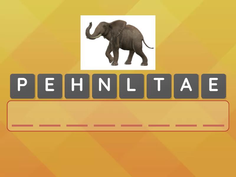 Reading part 3 - Starters 2 - Anagram