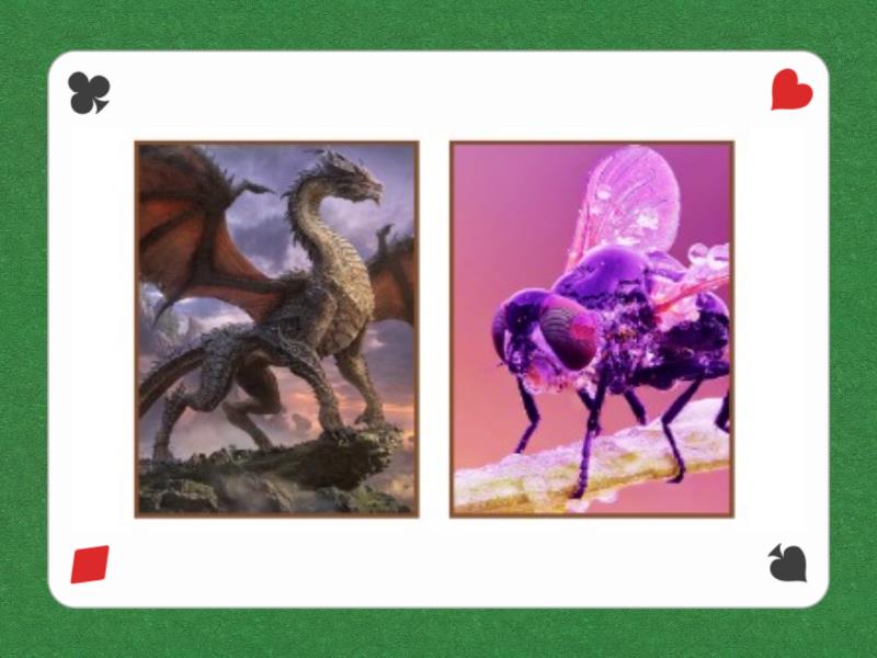 Compound words - Flash cards