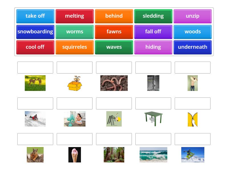 Vocabulary_first grade_In spring - Match up