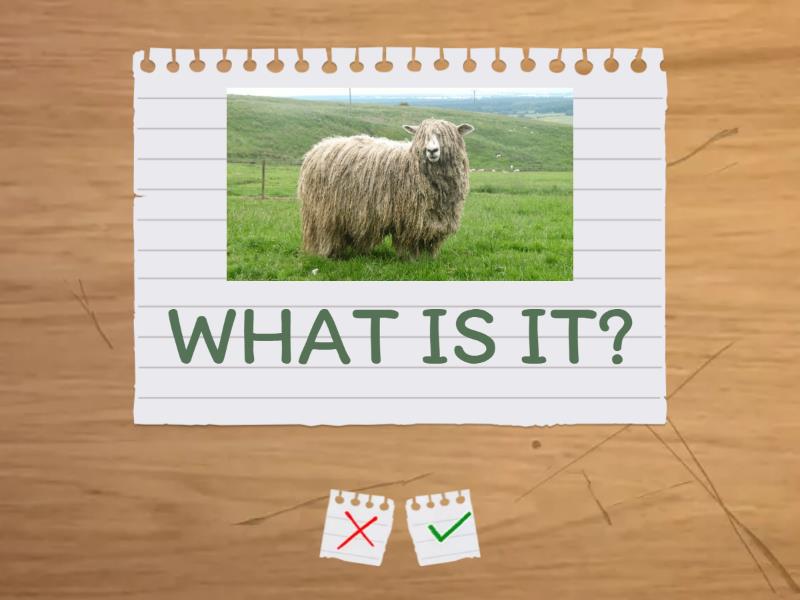 WHAT IS IT? - Flash cards