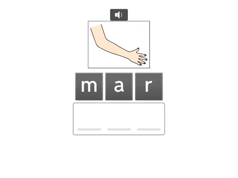 grade 1 unit 2 body part - Anagrama