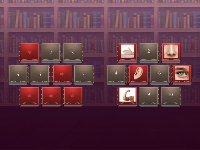 Me1a Body Parts Memory Game - Matching pairs