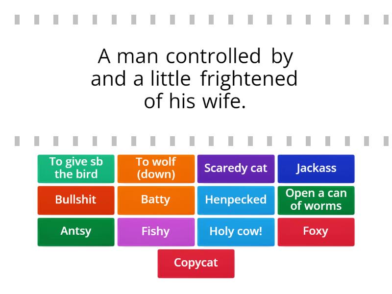 Animal slang - Find the match