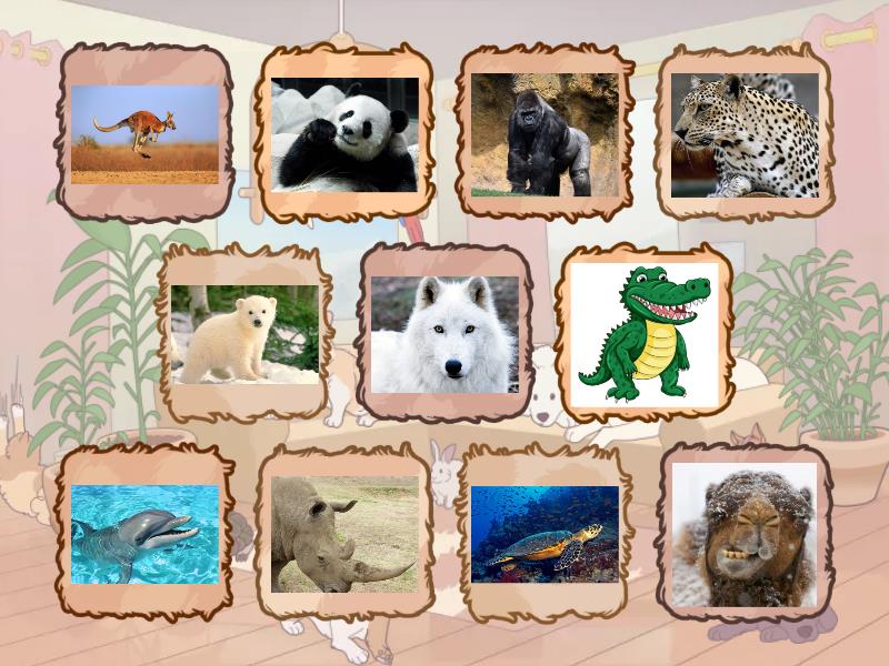 Wild animals - Flip tiles