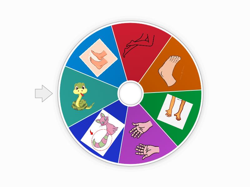 Body parts - Spin the wheel