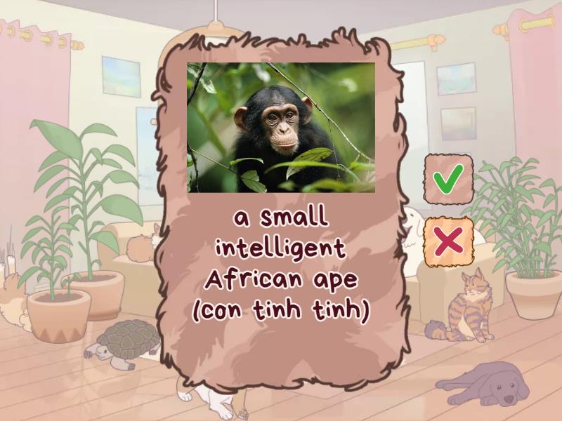 Time Zones 2 Unit 5 The Real World - Flash cards