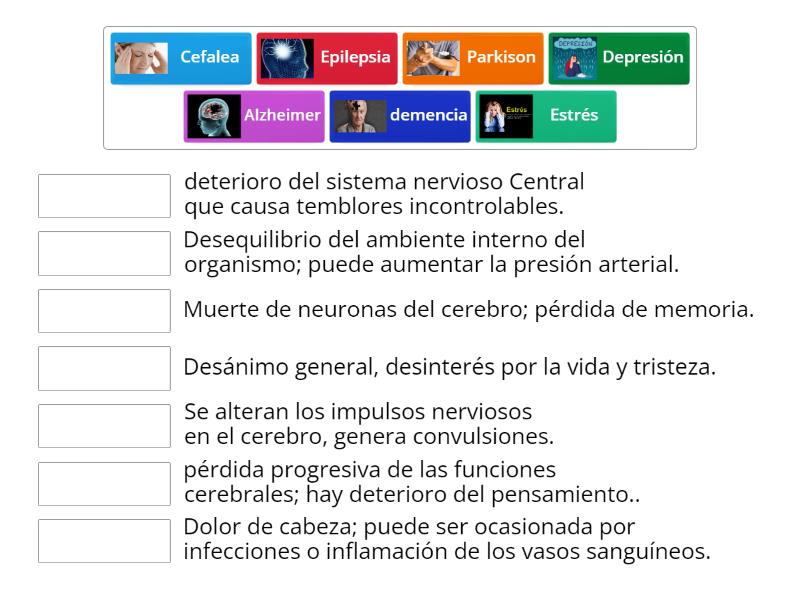 Enfermedades del Sistema Nervioso - Match up