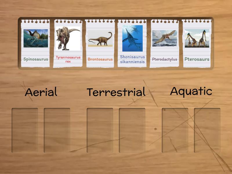 Dinosaurs - Group sort