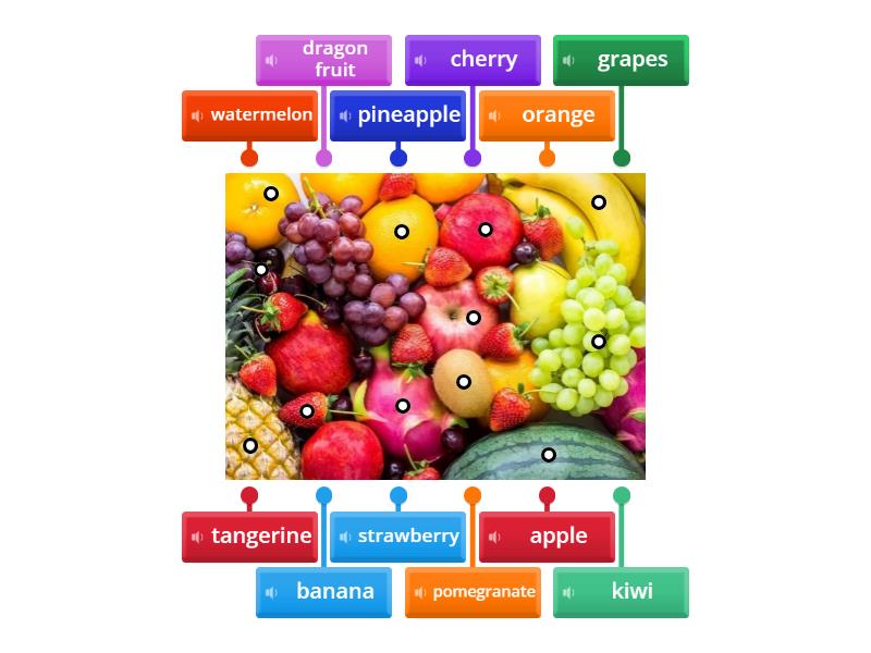 Fruit - Labelled diagram