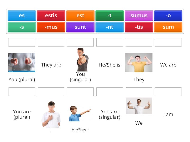 Latin Conjugations & Verb to be - Match up