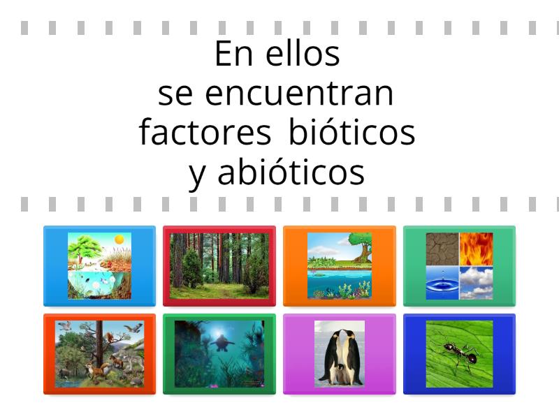 Diferencias y similitudes - Find the match