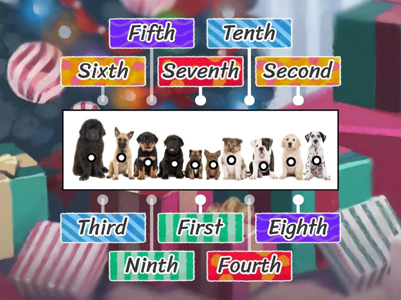 Ordinal Numbers 1st-10th - Labelled diagram