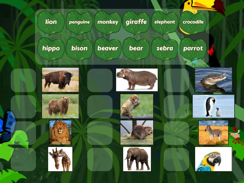 Smart junior 2 Unit 5 Animals - Une las parejas