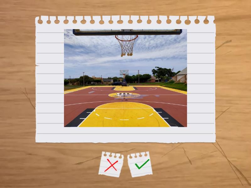 FAMILIA DR - Flash cards